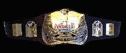 WWF Tag Team Championship History