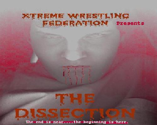 XWF: Dissection PPV Matches